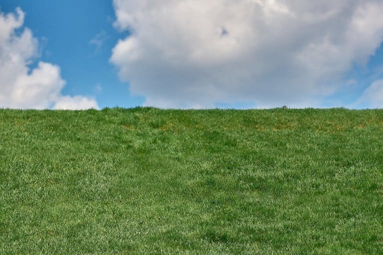 What Are Some Ways to Deal With a Sloping Lawn? | Clearfork Lawn Care